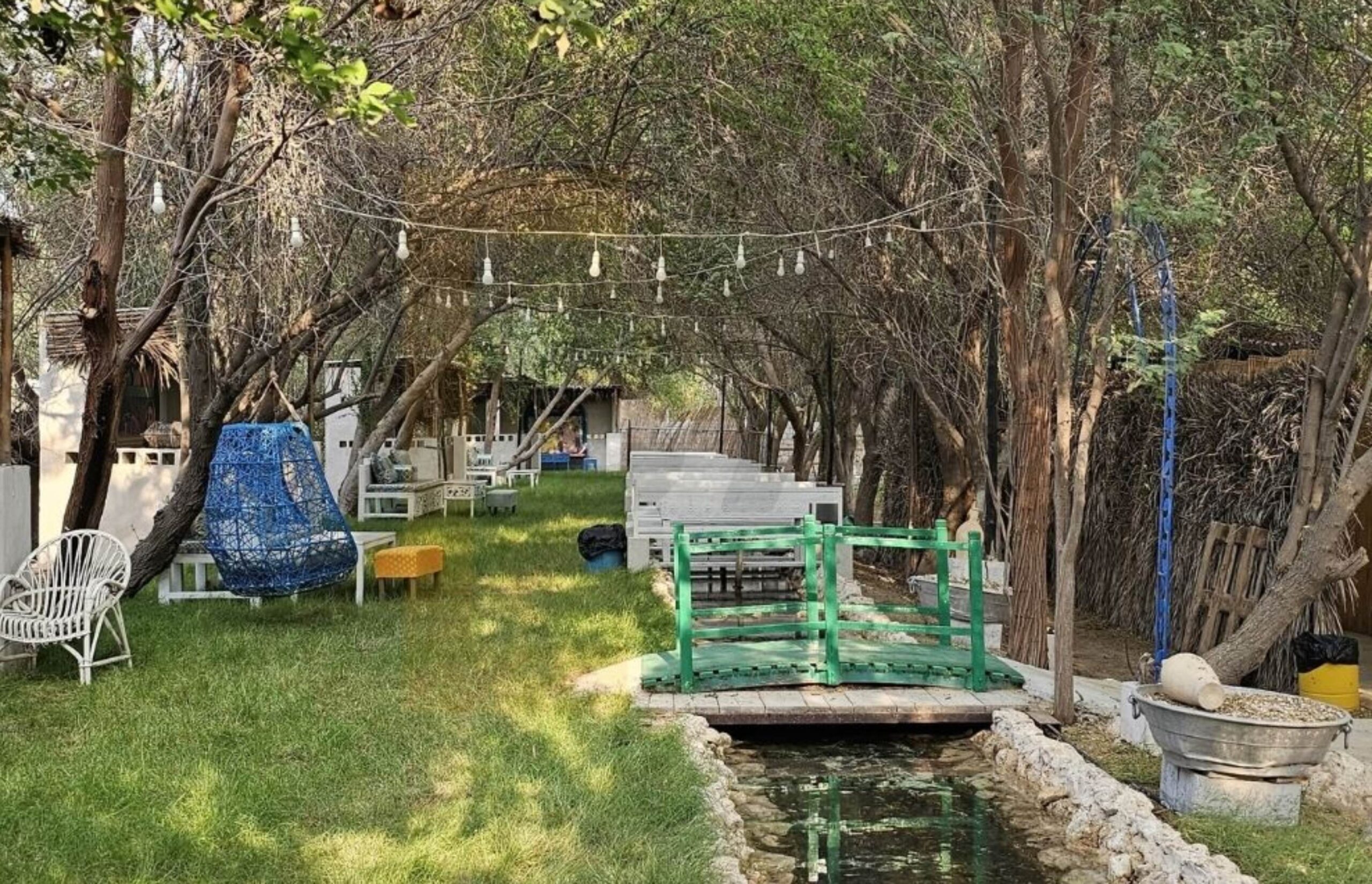 Explore North Sedra Farm in Qatar - 974 Qatar