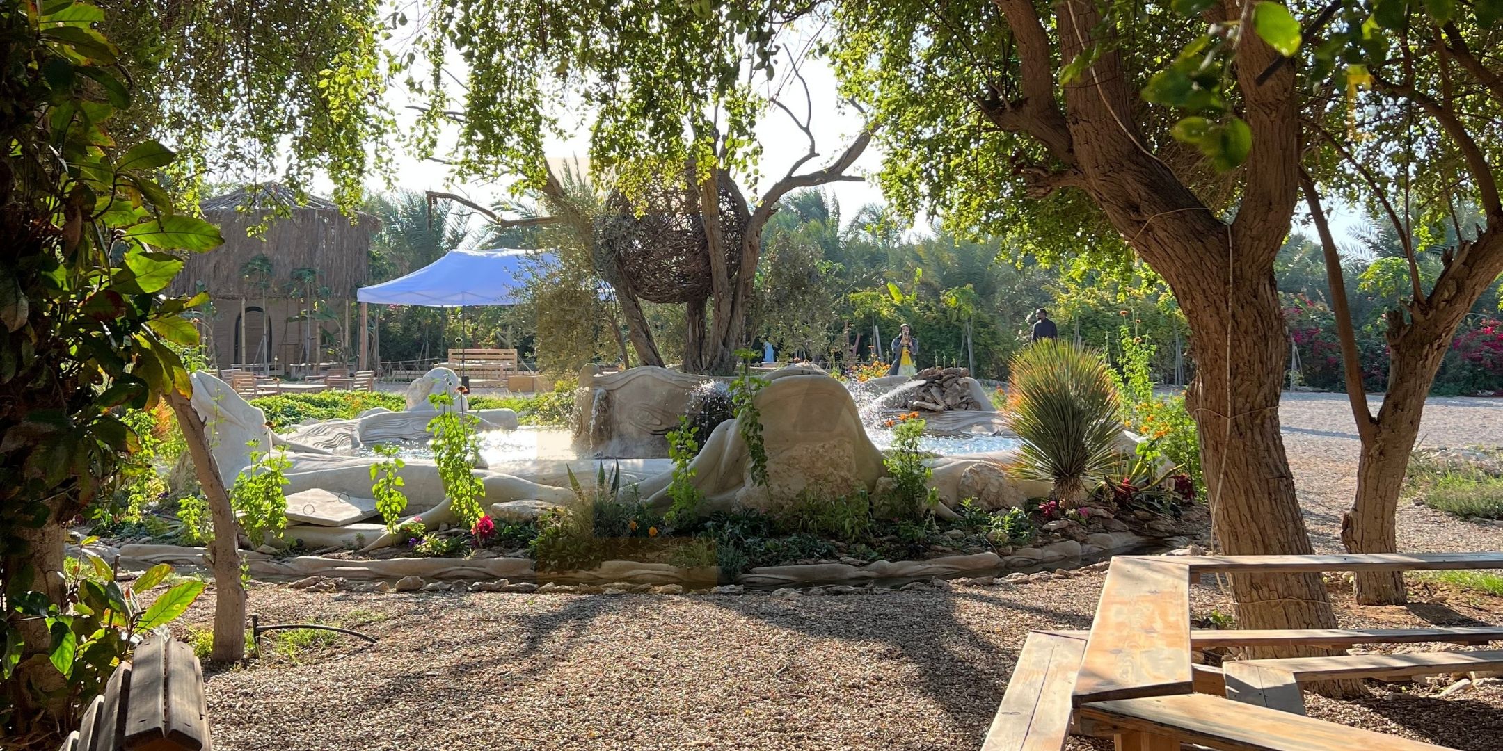 Farms to visit during weekends in Qatar - 974 Qatar